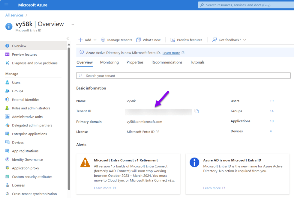 Microsoft Entra ID Tenant ID: How to Find It - Ask Garth